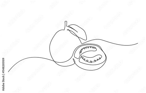 Single Continuous Line Drawing Whole And Half Sliced Healthy Organic