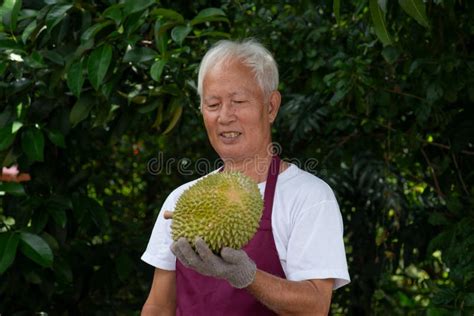 Durian Do Fazendeiro E Do Rei Do Musang Imagem De Stock Imagem De Homem Fazendeiro
