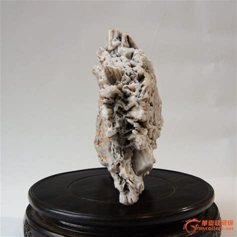 像骨头的石头图片 石头图片 骨头图片 第4页 大山谷图库