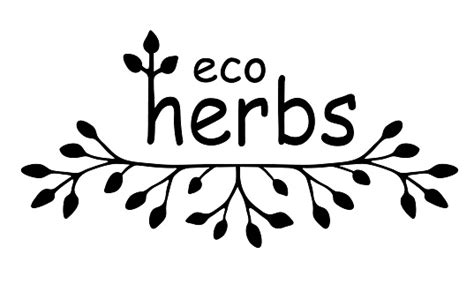 標有生態草藥銘文的標誌風格化的抽象樹枝與葉子塗鴉風格的手繪向量插圖孤立在白色背景上向量圖形及更多健康飲食圖片 健康飲食 剪裁圖 包裝品