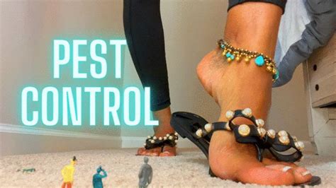 Pest Control Myamulagoddess Clip Store Clips4sale