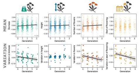 Plants Cultivated For Ecosystem Restoration Can Evolve Towards A