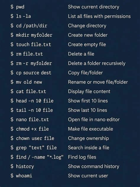 Mastering Linux Commands For Cybersecurity And It Professionals Tech