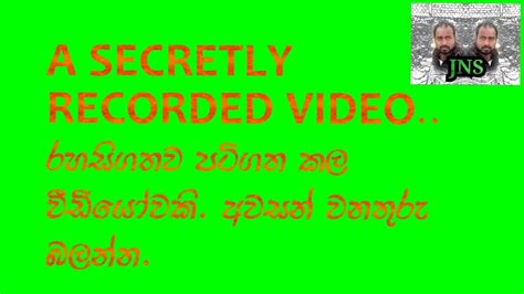 Sexy Dancing Peacock Matingsex Beutyful Environment මොණර රැඟුම