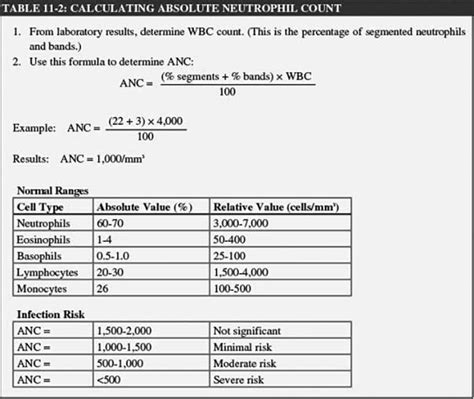 Neutrophils Normal Range Percentage Claudiakneebone
