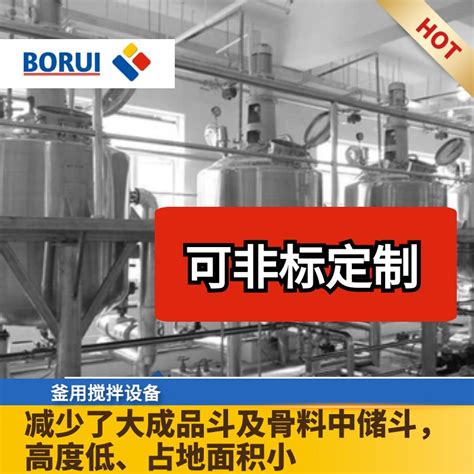 可非标定制釜用搅拌设备 卜睿科技