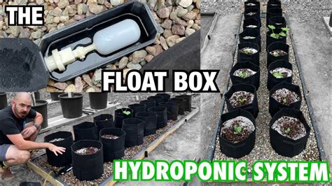 The Float Box Fabric Pot Hydroponic System Hydroponics Hydroponics