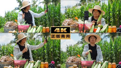 农民主播在线直播销售农产品视频素材下载