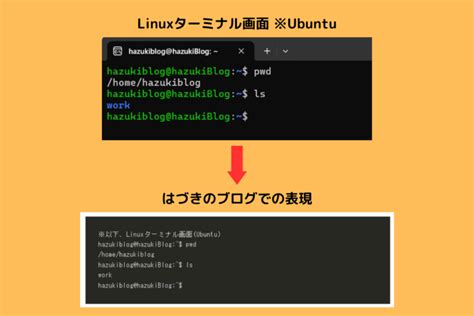 【linux】パス名展開（ワイルドカード）：複数のファイルとディレクトリを指定する！ はづきのブログ