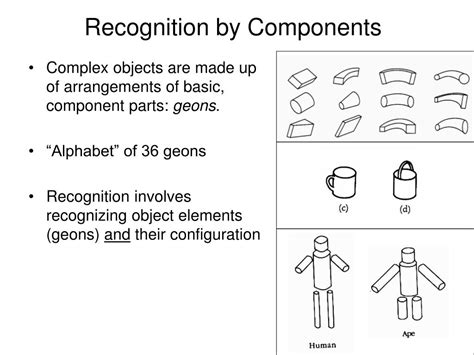 Ppt Object Perception Powerpoint Presentation Free Download Id5266