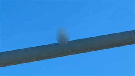 Drones Gone Wild Oklahoma City Suburb Buzzes With High Flying Adult