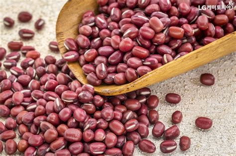동지 팥죽 이야기와 팥 요리 추천 Lg케미토피아