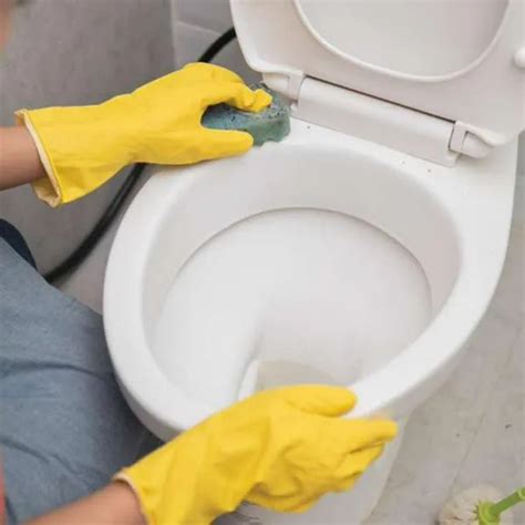 Cómo Limpiar El Inodoro Sin Utilizar Agua Con Trucos Casero Que Lo