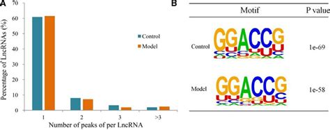 Abundance Of M6a Peaks And The Conserved M6a Modified Motif In Lncrnas