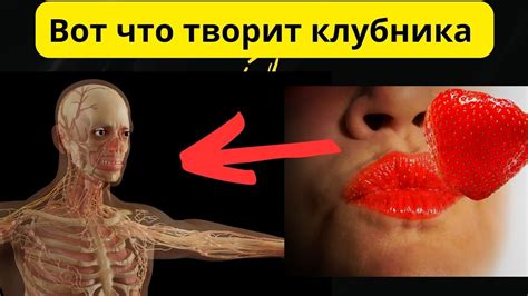 Что творит клубника 99 людей об этом даже не догадываются клубника