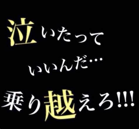 野々村竜太郎の座右の銘 2018年05月27日のその他のボケ 62627367 ボケて（bokete）