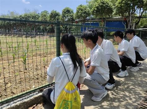 桂林学子三下乡：绿色生态发展，助力乡村振兴 今日大学生网