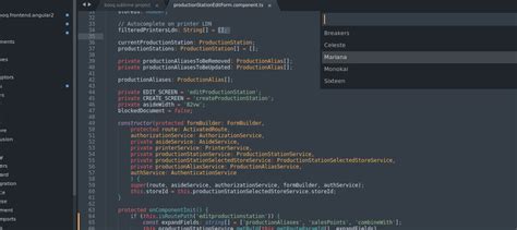 Blank Area In Popups · Issue 1171 · Sublimelsplsp · Github