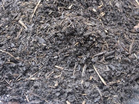 Buy Tree And Shrub Compost Uk Garden Supplies