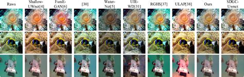 dgc‐uwnet underwater image enhancement based on computation‐efficient