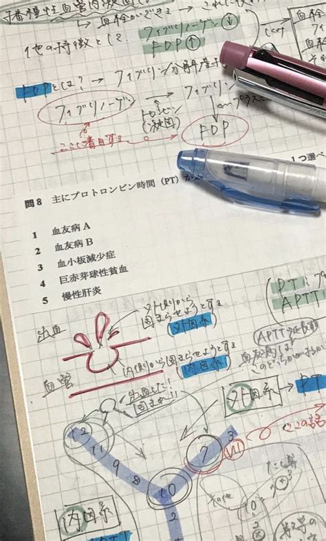 Studyblr」おしゃれまとめの人気アイデア｜pinterest｜ti 💌 勉強する動機 勉強のモチベーション 学習ノート