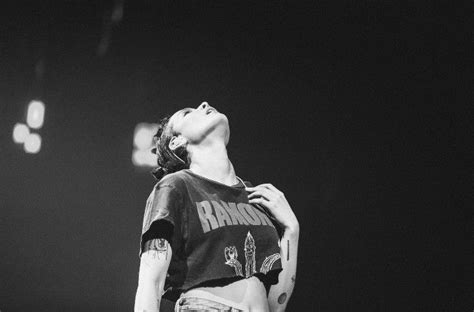 Halsey Manic World Tour Famosos