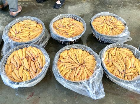 獨特風味烏魚子「九降風烏金」上市 竹縣烏魚節1119邀您品嘗美味