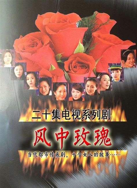 风中玫瑰 普通话 电视剧 高清在线观看 百搜视频