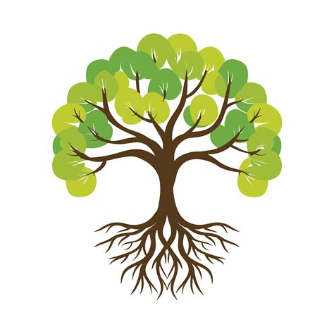 Tree With Roots Vector Illustration 38011051 Vector Art At Vecteezy