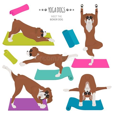 Yoga Dogs Poses and Exercises Boxer Dog Clipart Ilustração do Vetor
