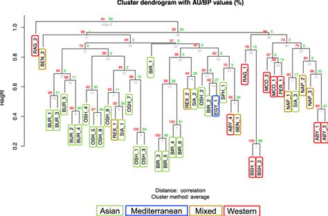 Clustering Analysis Using Cnvrs Colored Rectangles Correspond To Download Scientific Diagram