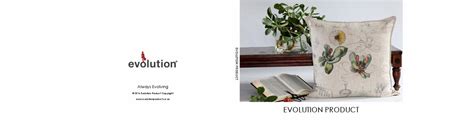 Evolution Story By Evolution Product Issuu