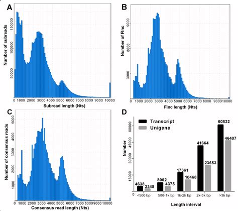 Number And Length Distribution Of Pacbio Smrt Sequencing Data For P