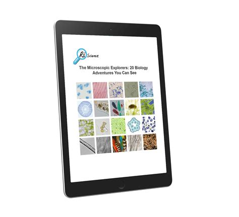 Archaea Definition Structure Types And Extremophile Habitats Rs Science