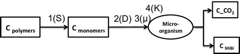 Conceptual Illustration Of The Key Processes And Parameters Affecting Download Scientific