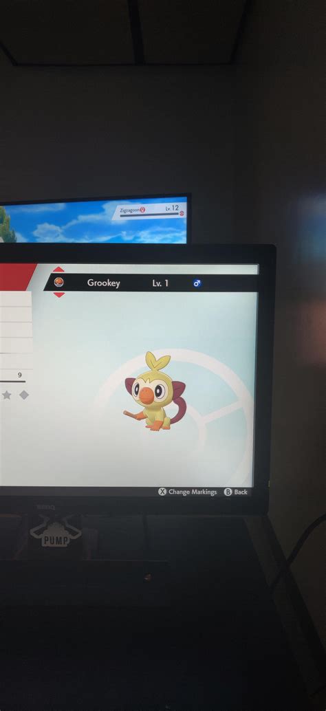 287 Eggs Later Shiny Grookey Is Mine R Pokemonswordandshield