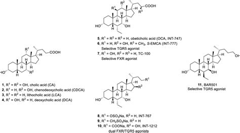 Primary And Secondary Bile Acids And A Selection Of Some Medically