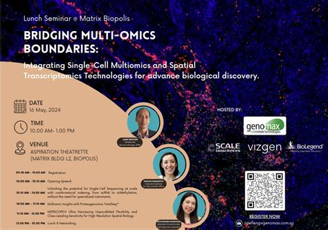 Bridging Single Cell Multiomics And Spatial Transcriptomics For Advanced