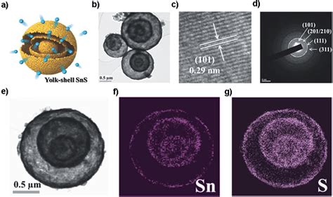 A Schematic Illustration And B Tem Image Of The Download Scientific Diagram