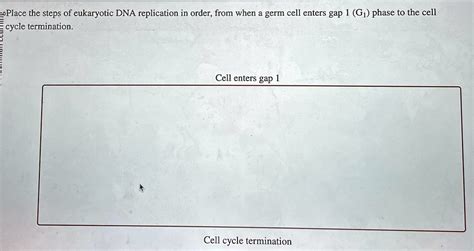 Place The Steps Of Eukaryotic Dna Replication In Order From When A Germ Cell Enters Gap 1 G1