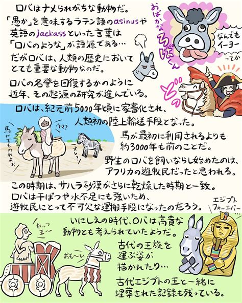 ぬまがさワタリ On Twitter こんなこともあろうかとロバ図解を描いておいたことで、『eo イーオー』をロバ視点により没入して観る