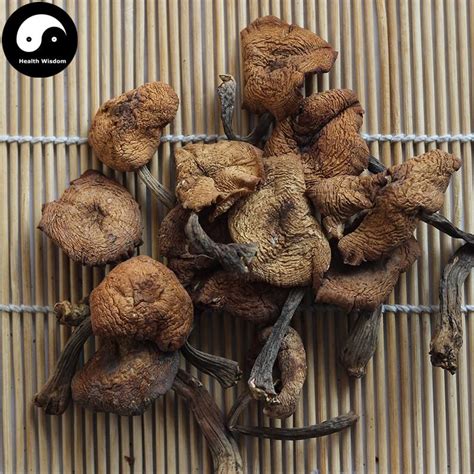 Buy Best Herb Zhen Mo 榛蘑 Hazel Dell Mushroom For Chinese Soup Cooking