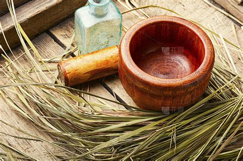 草药里的紫百合