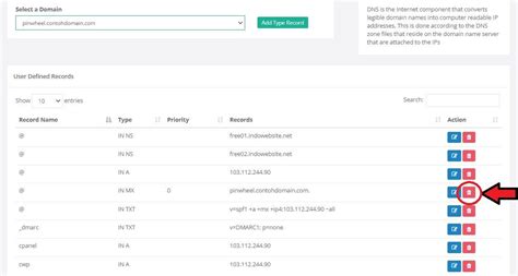 Cara Create Dan Delete Dns Record Di Cwp Indowebsite Knowledgebase