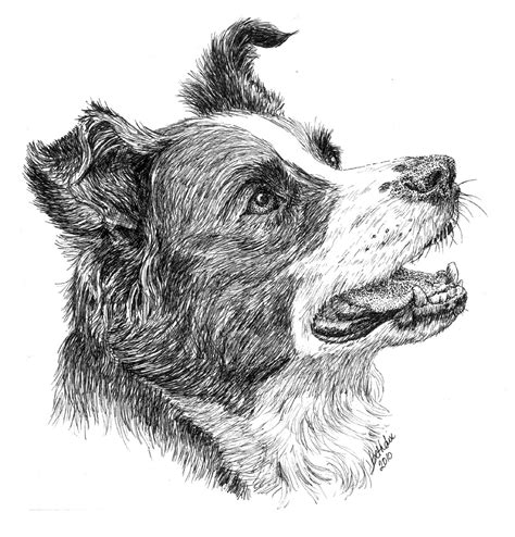 Beth Dix Art Embroidery And Quilting Border Collie