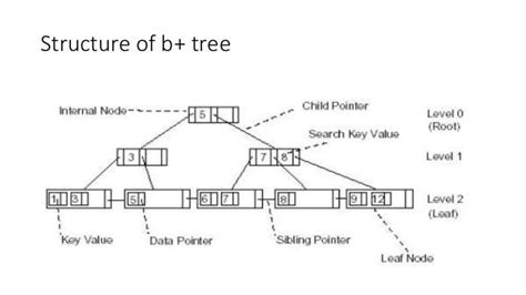 b tree intro uses insertion and deletion
