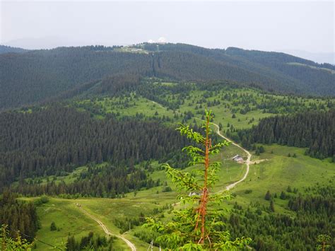 Гора Яровиця Національний парк Черемоський