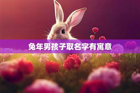 兔年男孩子取名字有寓意寓意深刻的兔年男孩子名字推荐 星辰运势