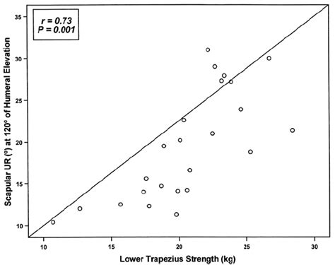 Linear Relationship Between Scapular Upward Rotation At 120° Of