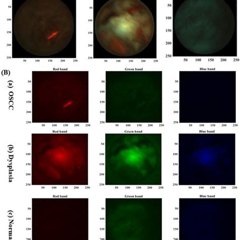 A Scatter Data Plot Of Ratio Values Of Imaging Data Red To Green Bands